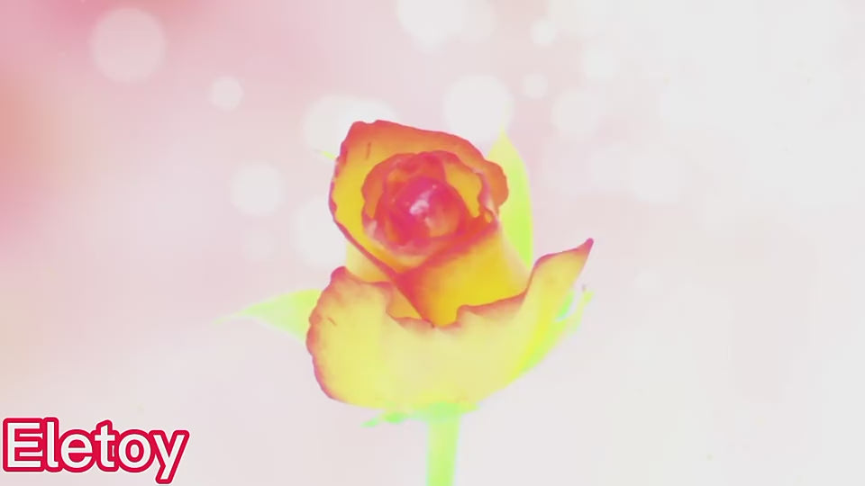 Butterfly Clit Rose Sex Toy Vibrator With Dildo Simulator Tongue G Spot ...